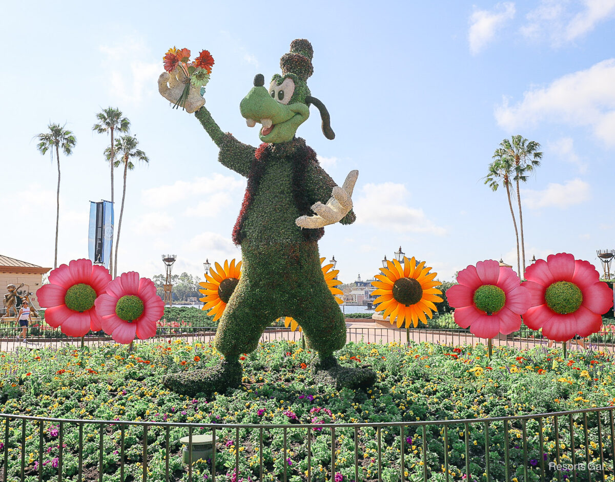 Through the Years: Goofy's Character Topiary at Epcot's Flower and ...