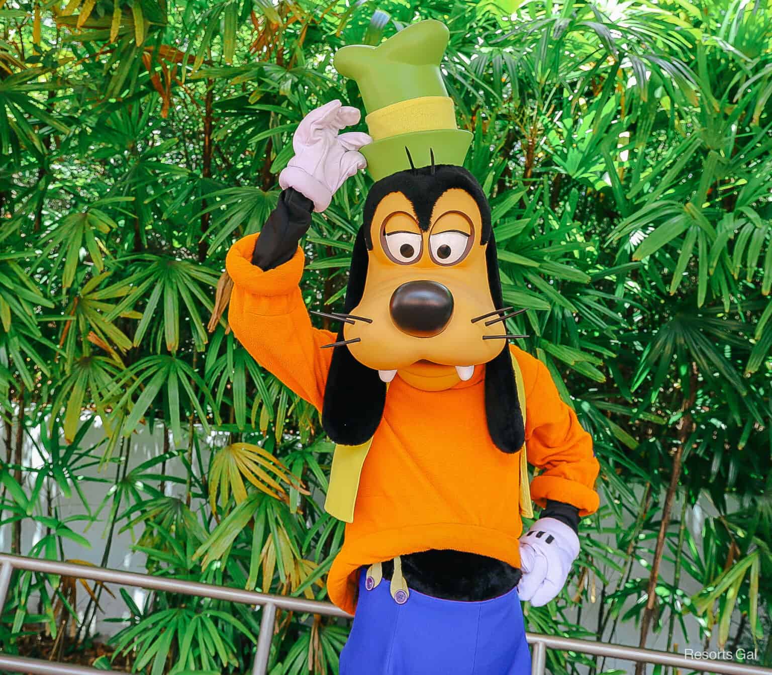 Where to Meet Goofy at Walt Disney World