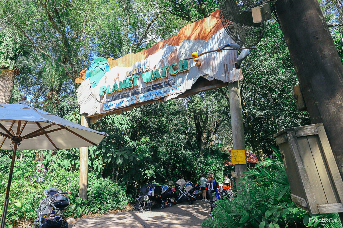 Meet Goofy at the Harambe Train Station at Disney's Animal Kingdom
