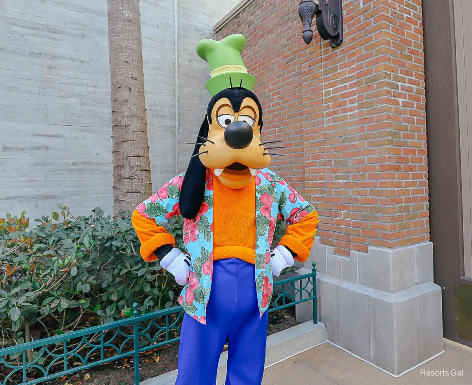 Character Spotlight: Goofy at Walt Disney World