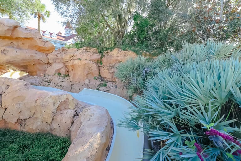 Disney's Grand Floridian Resort and Spa Pool Guide (Photos and Amenities)