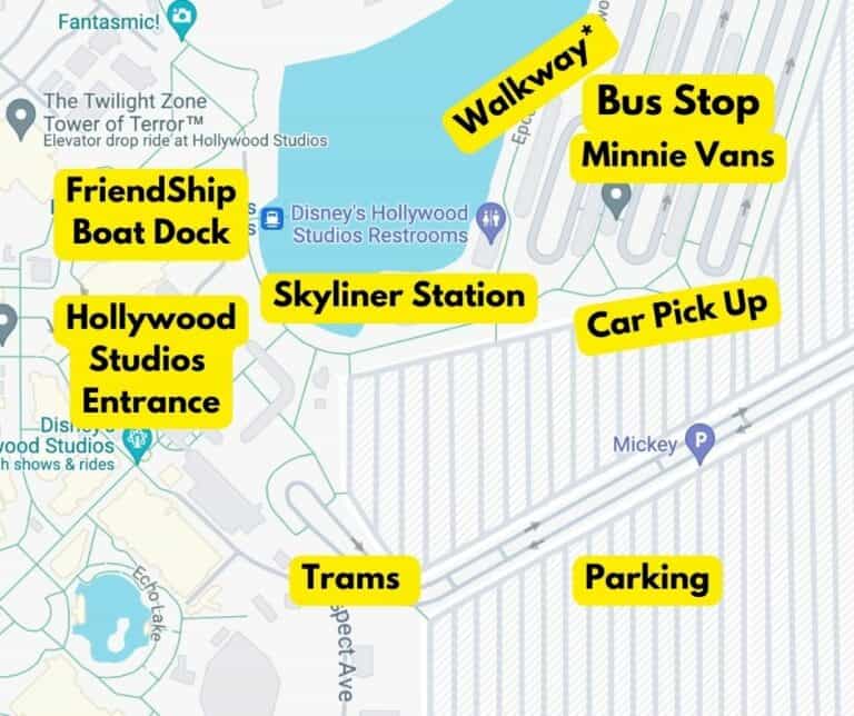Disney's Complimentary Bus Transportation (A Complete Guide)