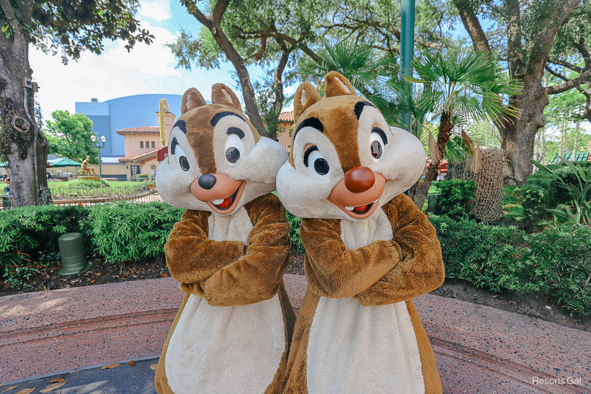 Disney's Hollywood Studios Character Meet-and-Greets (2026)