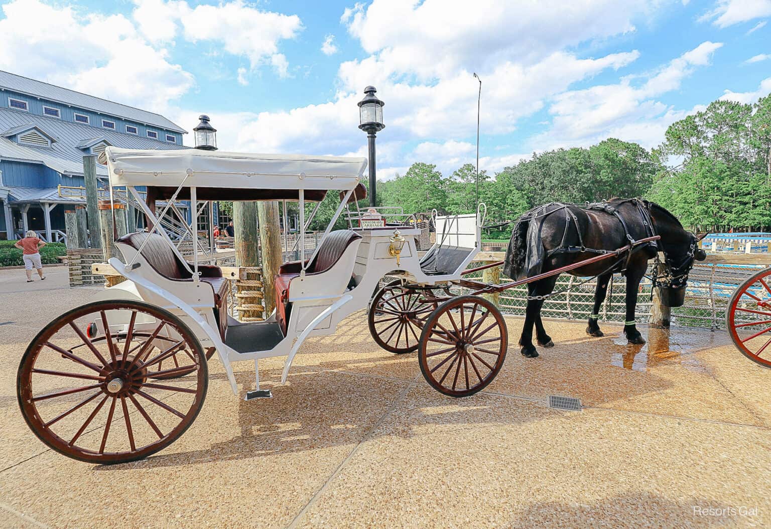 How to Book Horse-Drawn Carriage Rides at Disney's Port Orleans Riverside