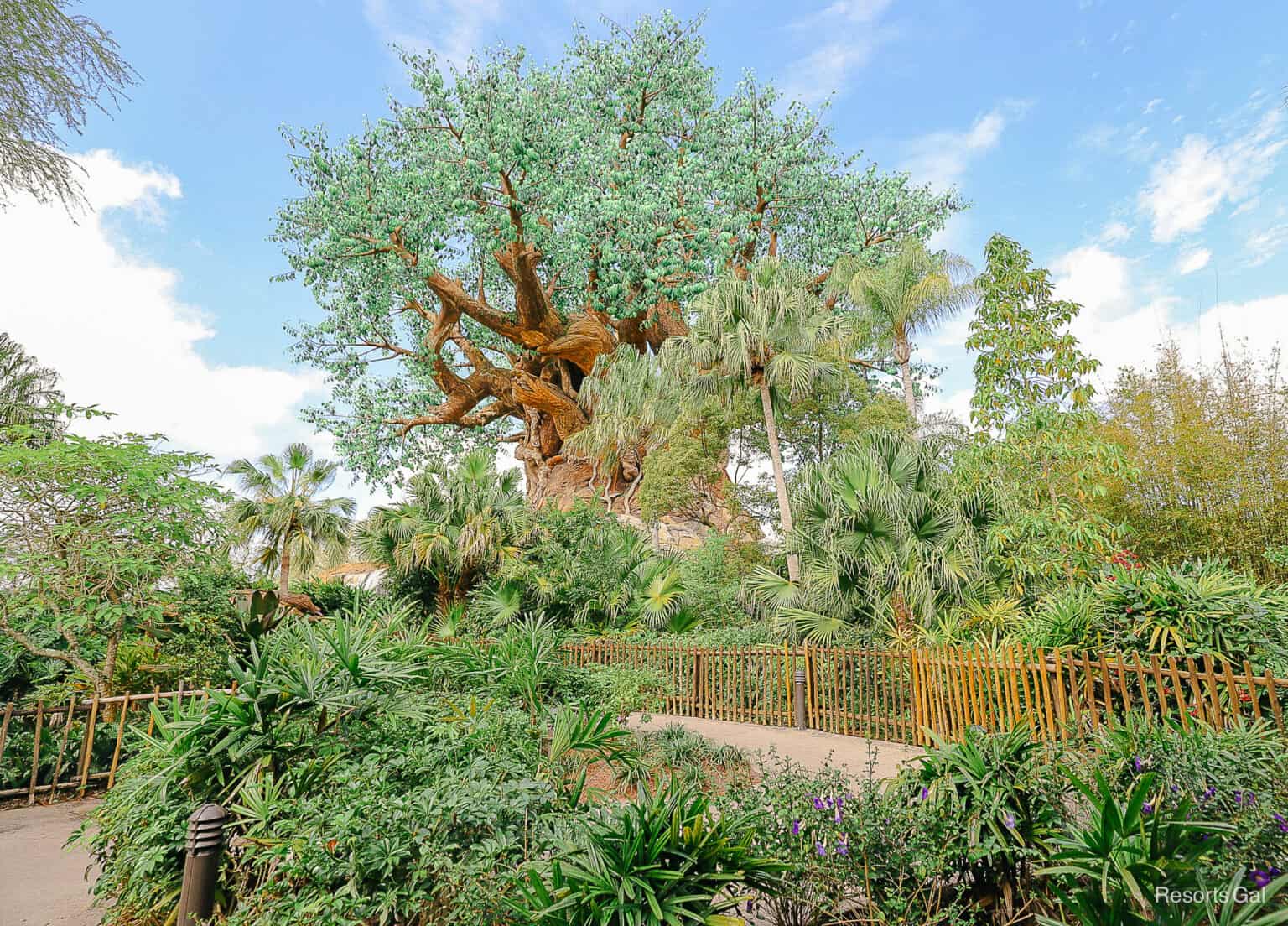 Former Attractions: It's Tough to Be a Bug! at Disney's Animal Kingdom ...