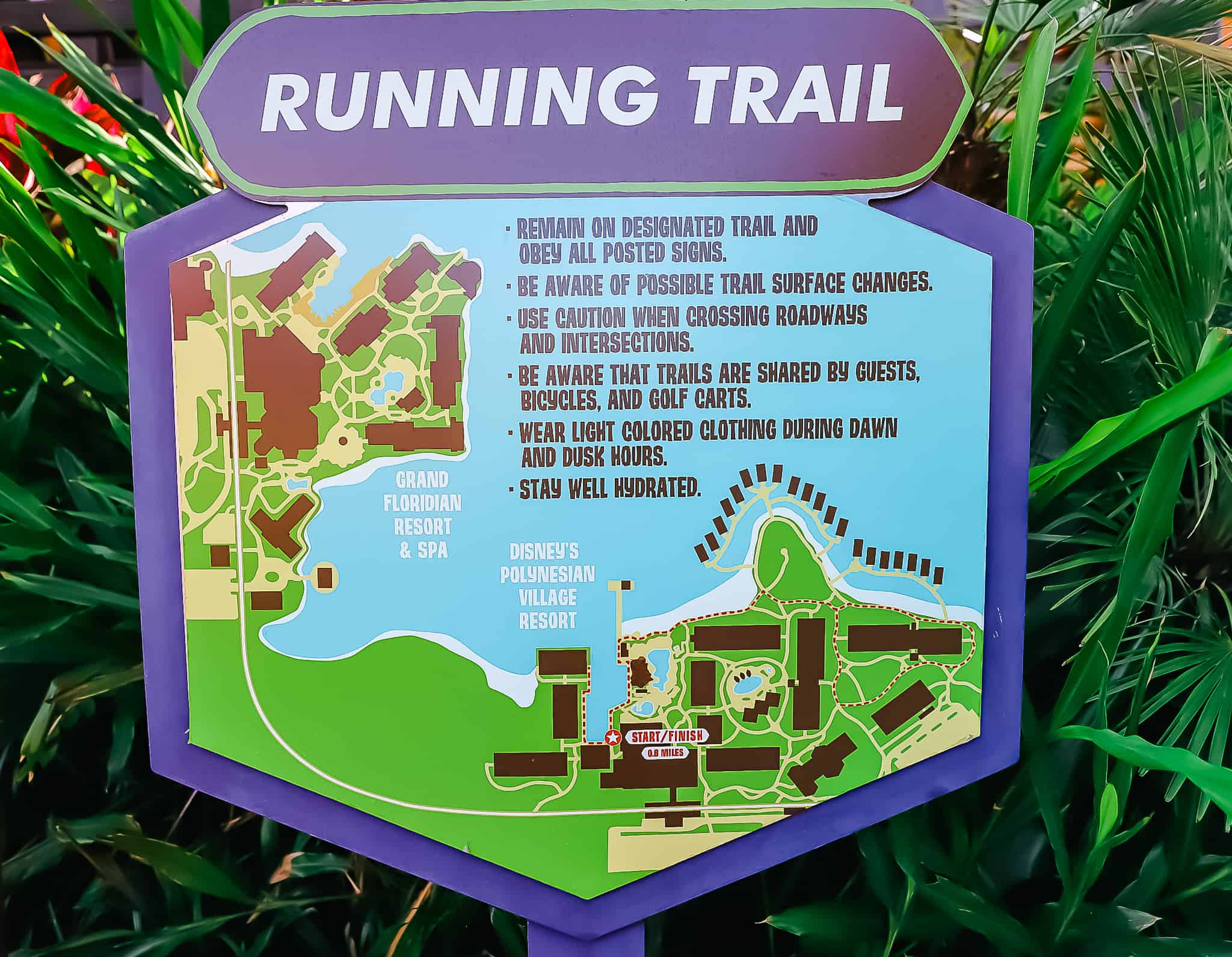Jogging Map