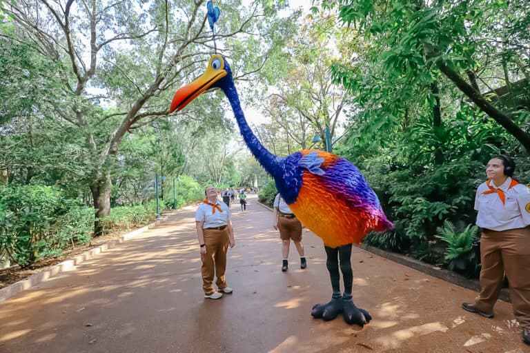 Here's How To Find Kevin from 'UP!' at Disney's Animal Kingdom