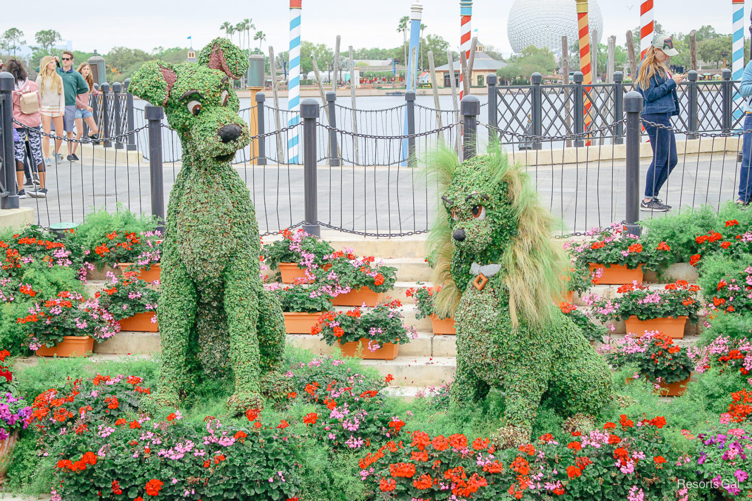 Through the Years: Lady and the Tramp Character Topiaries at Epcot's ...