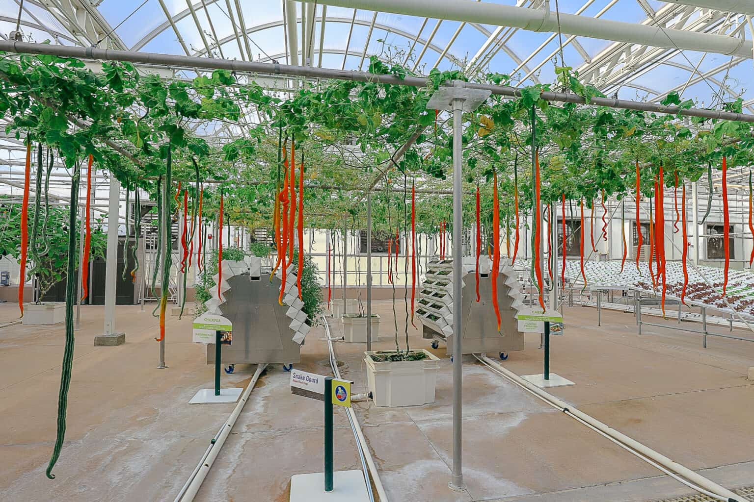 Living with the Land at Epcot (An Attraction Guide) - Resorts Gal