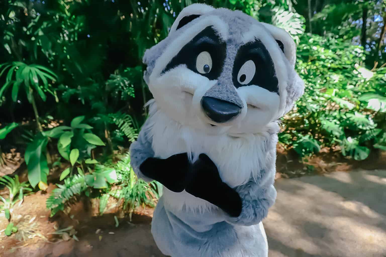 Meet Meeko in the Oasis at Disney's Animal Kingdom - Resorts Gal