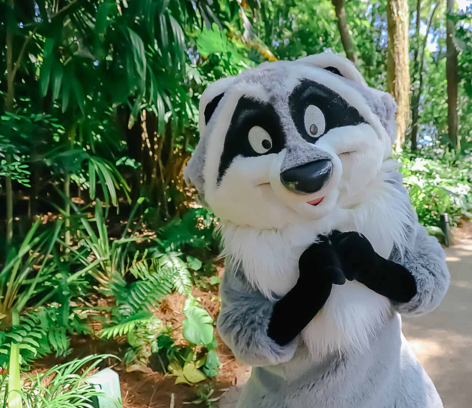 Meet Meeko in the Oasis at Disney's Animal Kingdom - Resorts Gal