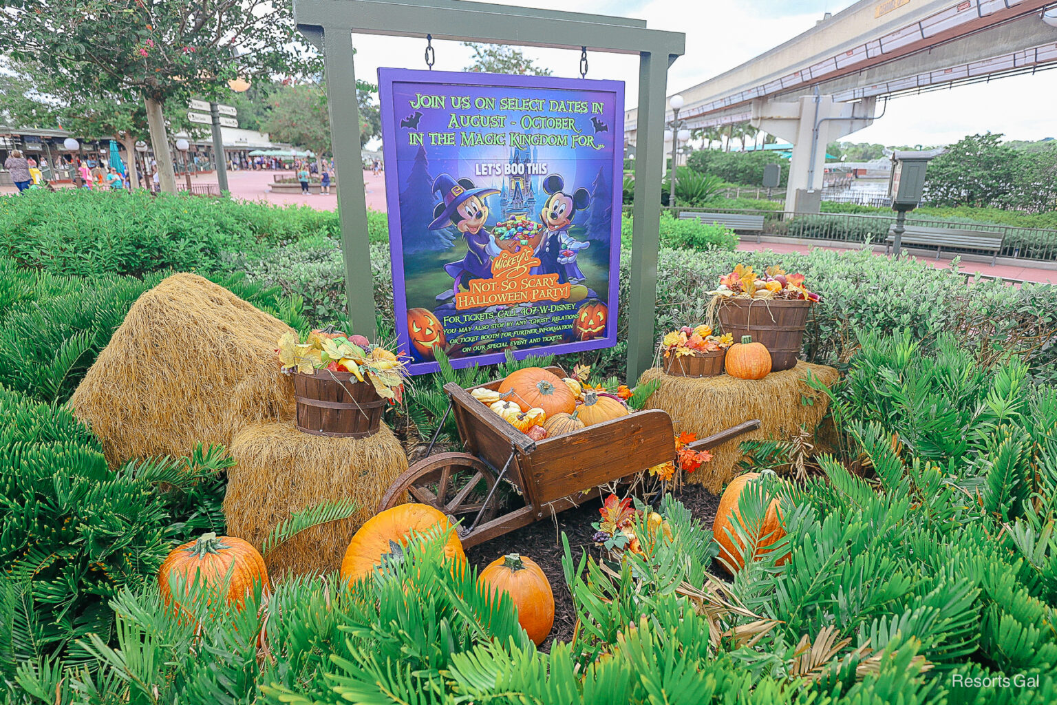 Mickey's Not So Scary Halloween Party Guide (2026)