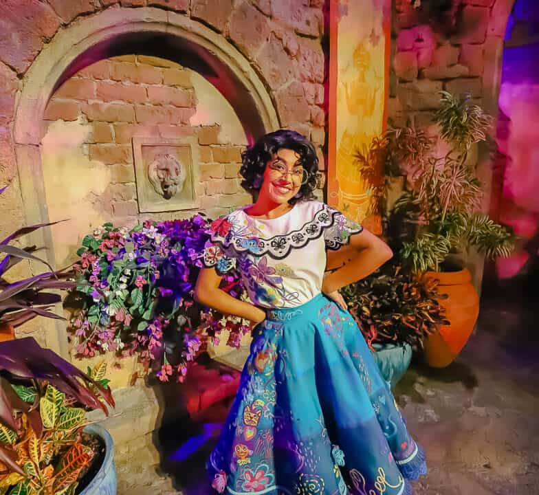 The Entire List of Characters at Mickey's Very Merry Christmas Party ...