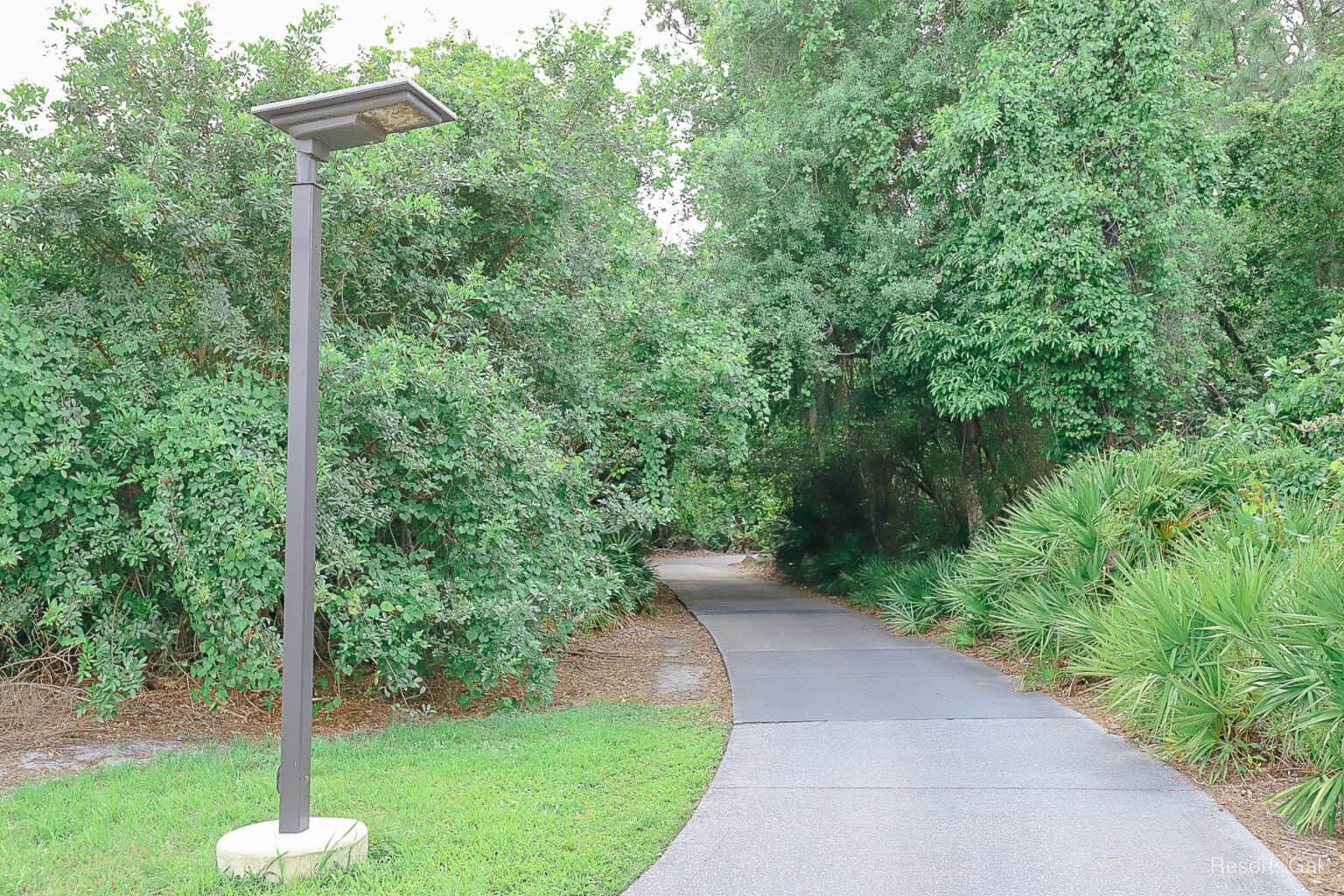 Taking the Walking Path Between Disney Springs and Old Key West (Map ...
