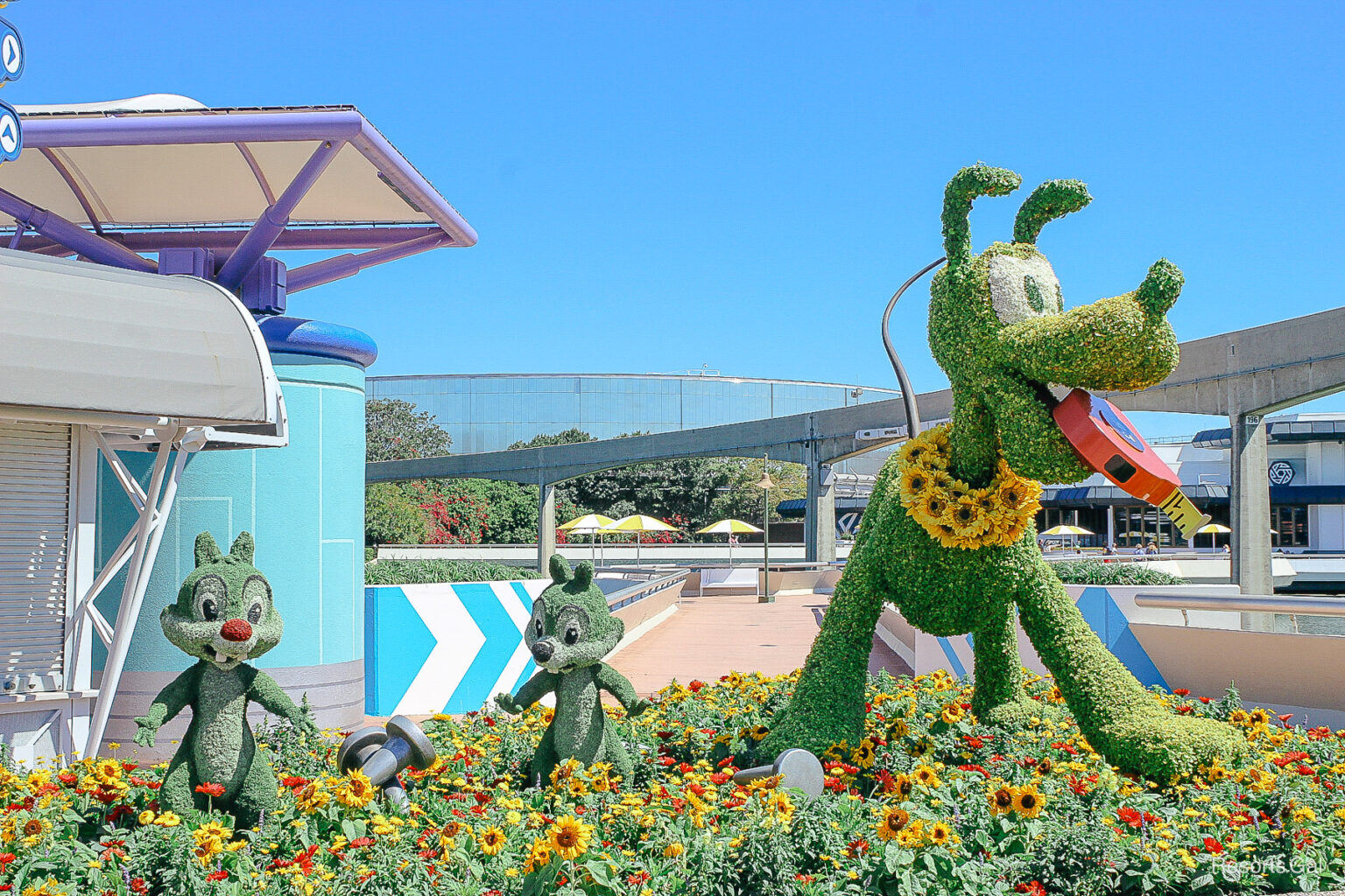 Through the Years: Pluto with Chip and Dale's Character Topiaries at ...