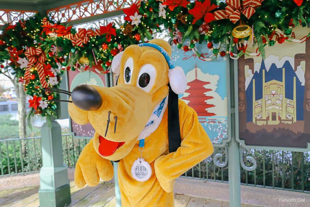 Where to Meet Pluto at Walt Disney World | Resorts Gal
