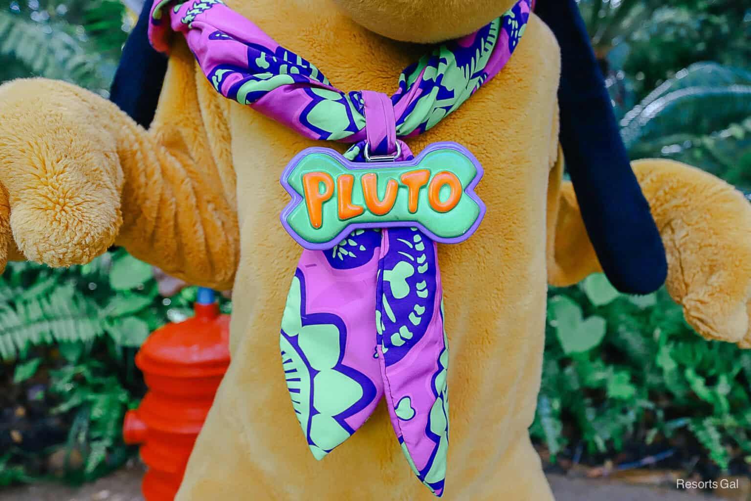 Where to Meet Pluto at Walt Disney World | Resorts Gal
