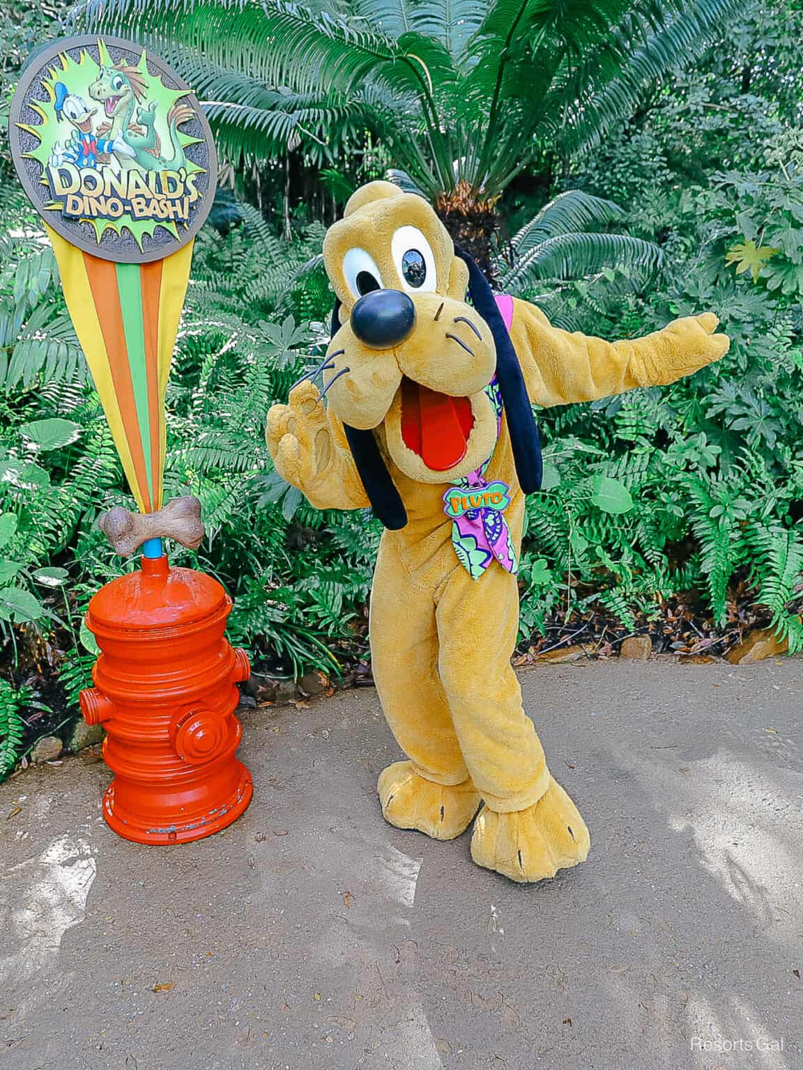 Disney World Character Meet-and-Greet Changes for This Summer (A Park ...