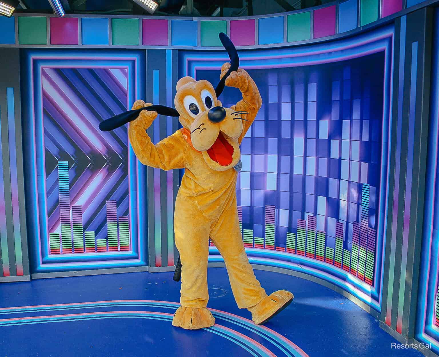 Meet Pluto at Animation Courtyard at Disney's Hollywood Studios