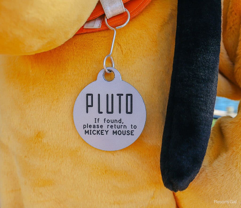 Character Spotlight: Pluto at Walt Disney World | Resorts Gal