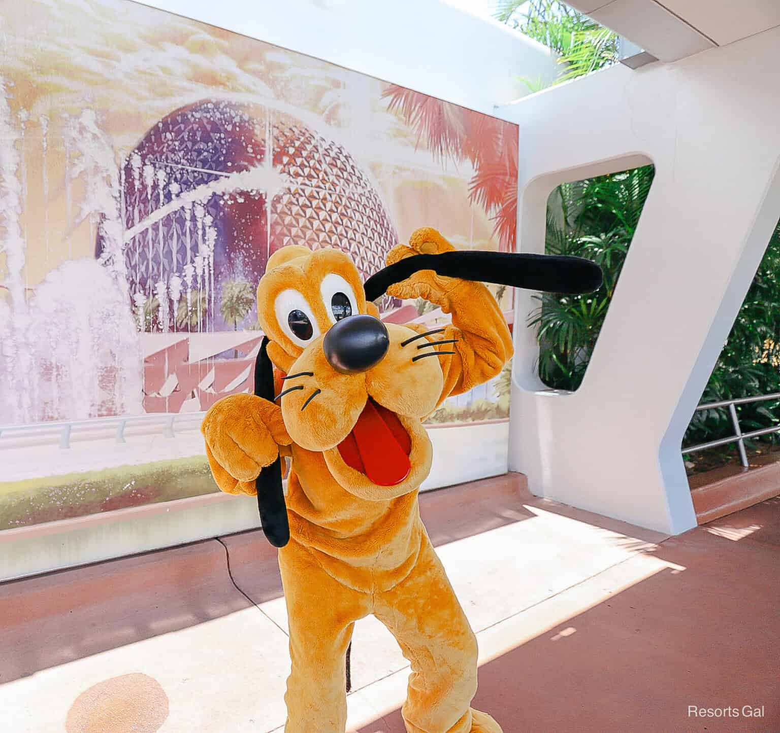 Where to Meet Pluto at Epcot (Near the Main Entrance)