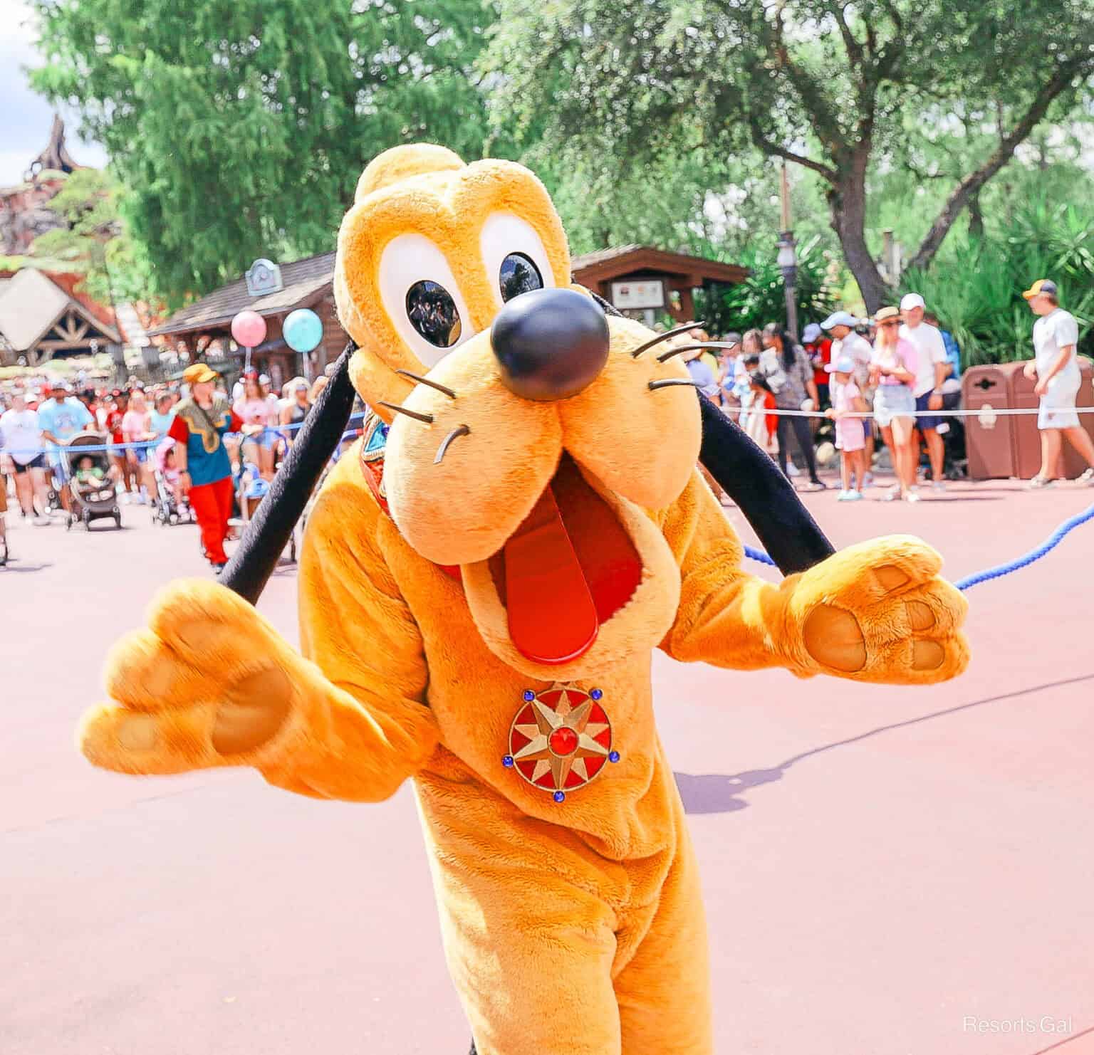 Character Spotlight: Pluto at Walt Disney World | Resorts Gal