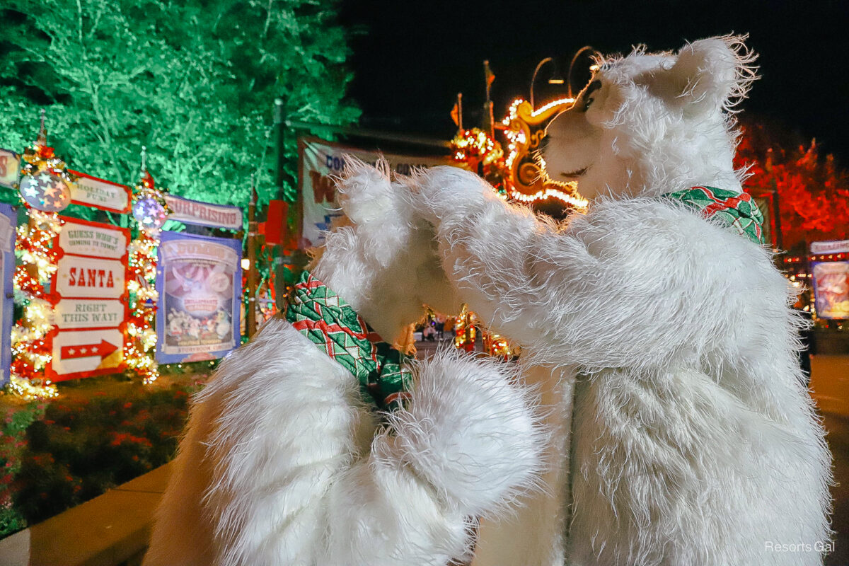 Where to Meet Polar Bears at Mickey's Very Merry Christmas Party