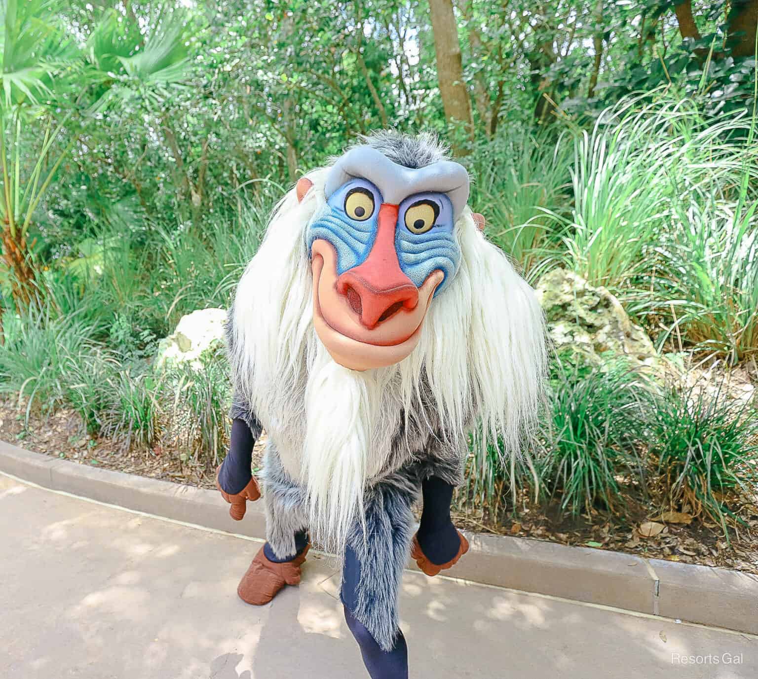 Timon and Rafiki Meet-and-Greet Brings New Life to Rafiki’s Planet ...