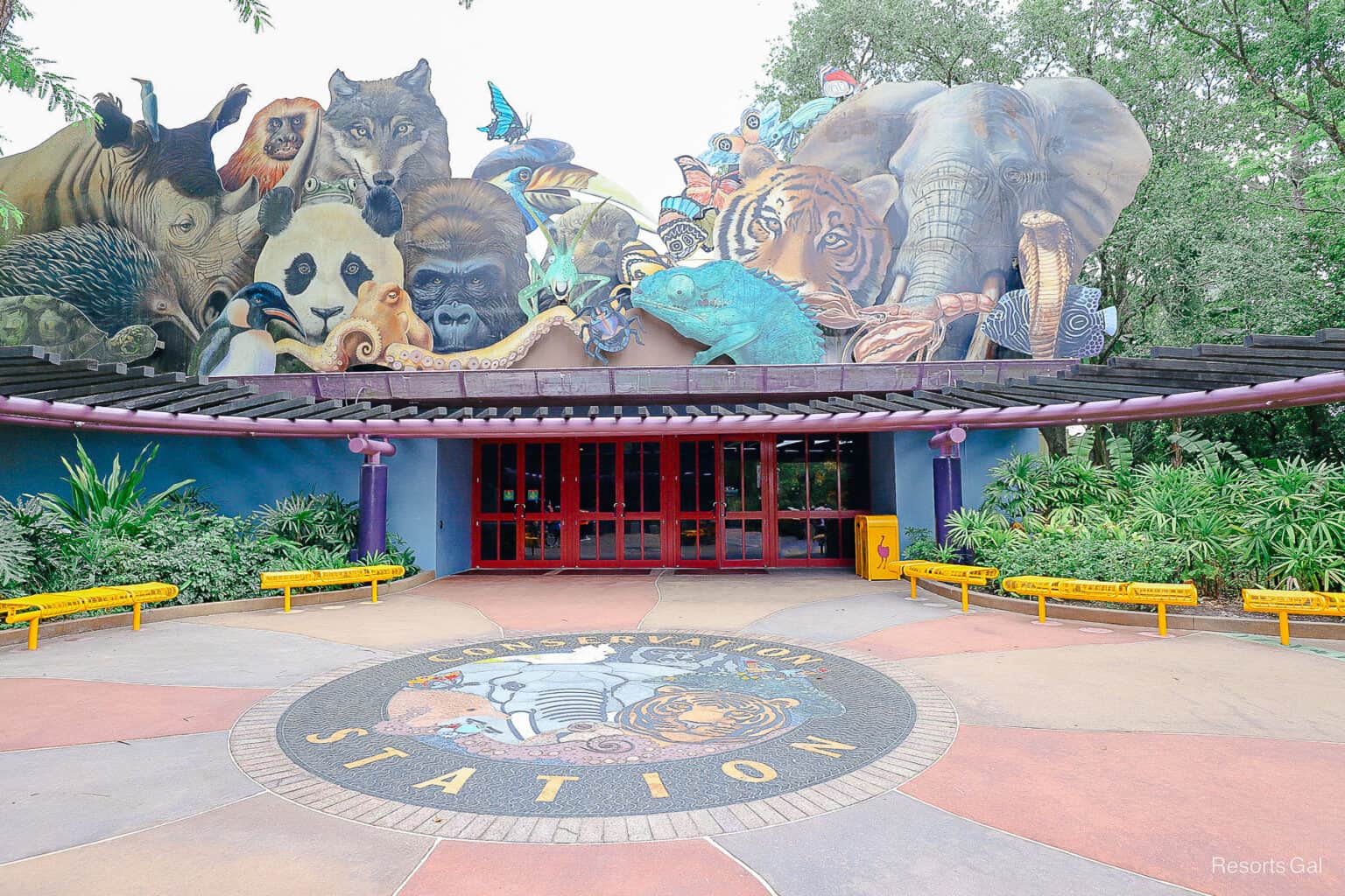 Timon and Rafiki Meet-and-Greet Brings New Life to Rafiki’s Planet ...