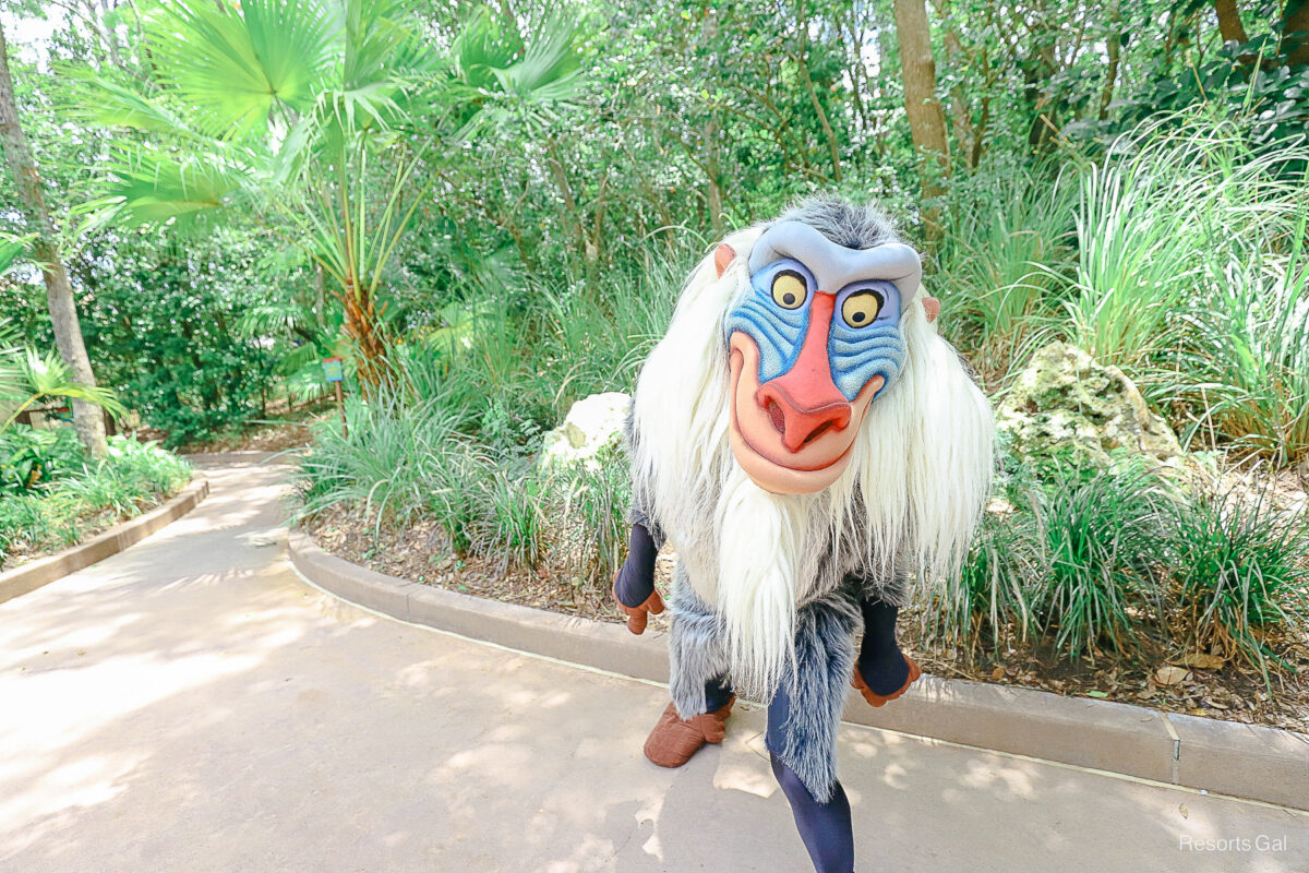 Meet Rafiki at Rafiki's Planet Watch at Disney's Animal Kingdom