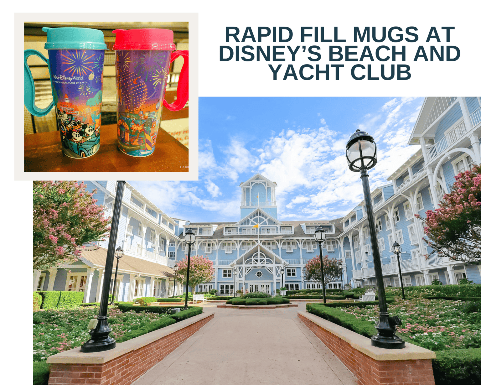 The 3 Places to Refill Rapid Fill Mugs at Disney's Beach and Yacht Club ...
