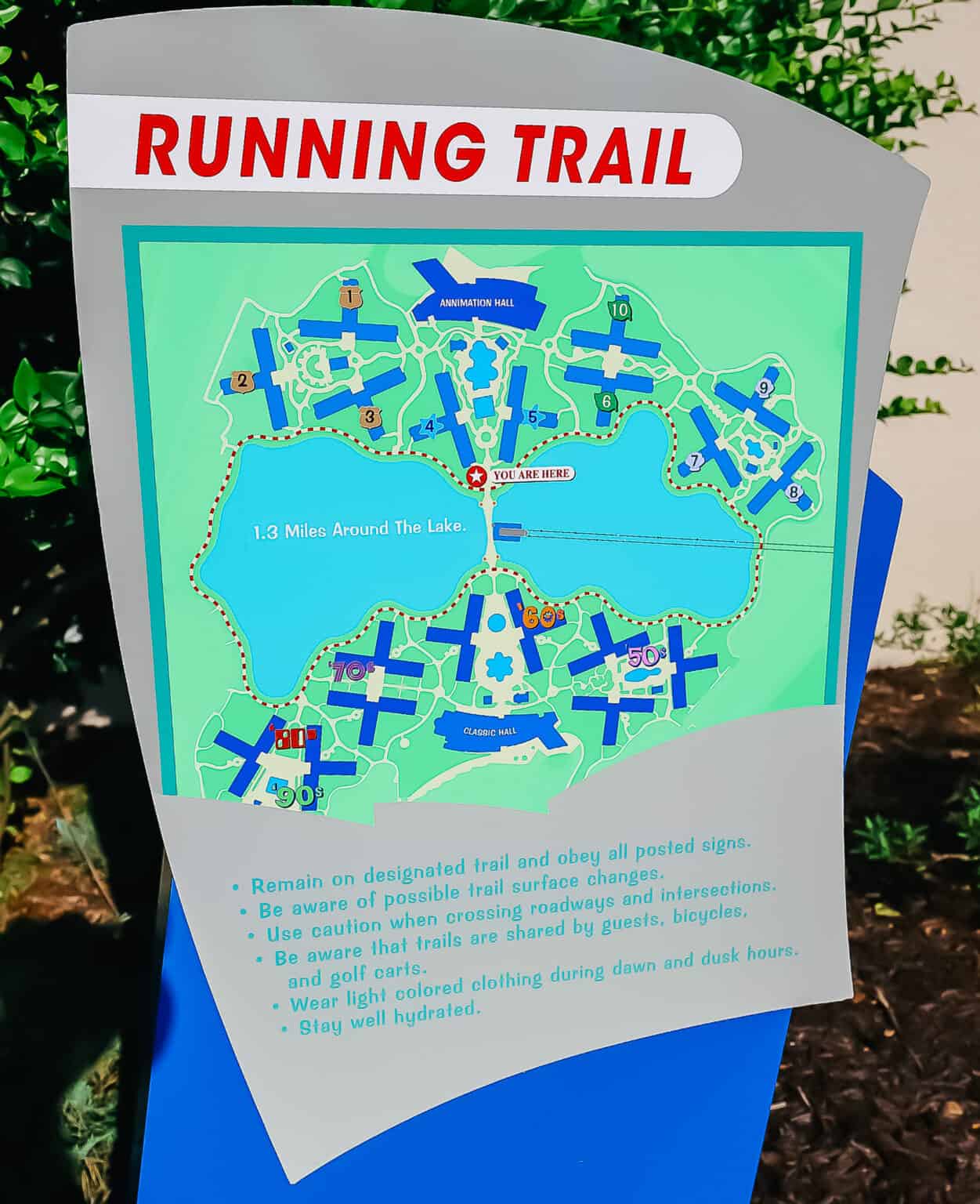 The Entire List of Disney World Running Trails (Where to Jog During ...