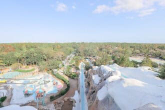 Summit Plummet at Disney's Blizzard Beach (A 12-Story Freefall Water ...