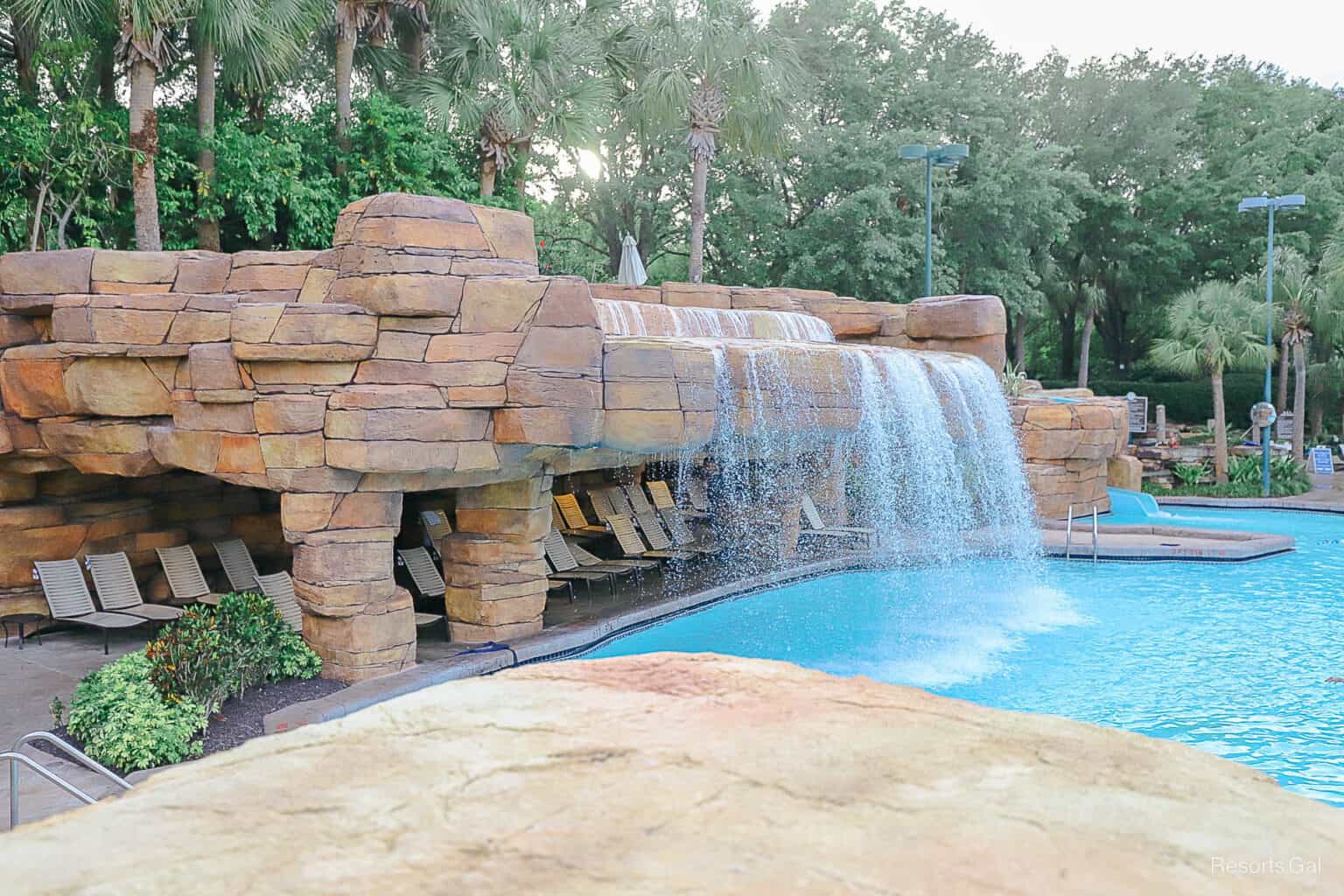 The Pools at Disney's Swan and Dolphin (Photos and Amenities)