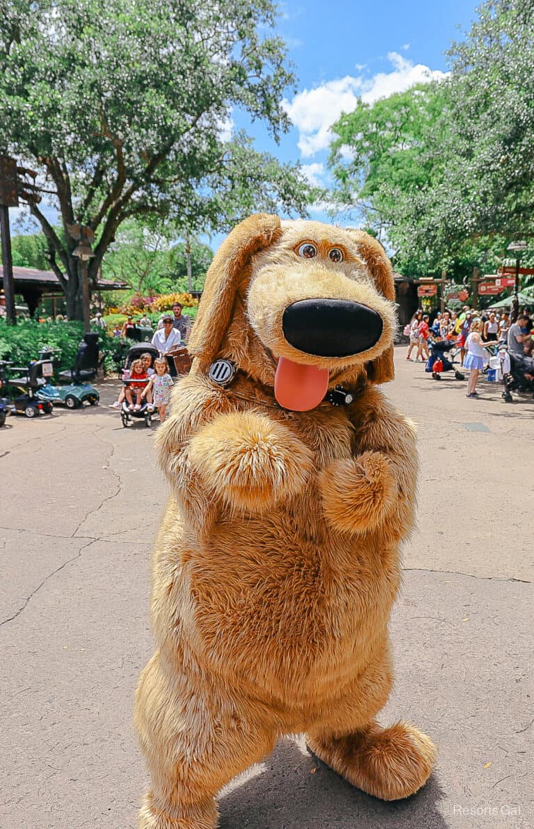 How To Find Dug from UP (the Talking Version) at Disney's Animal Kingdom