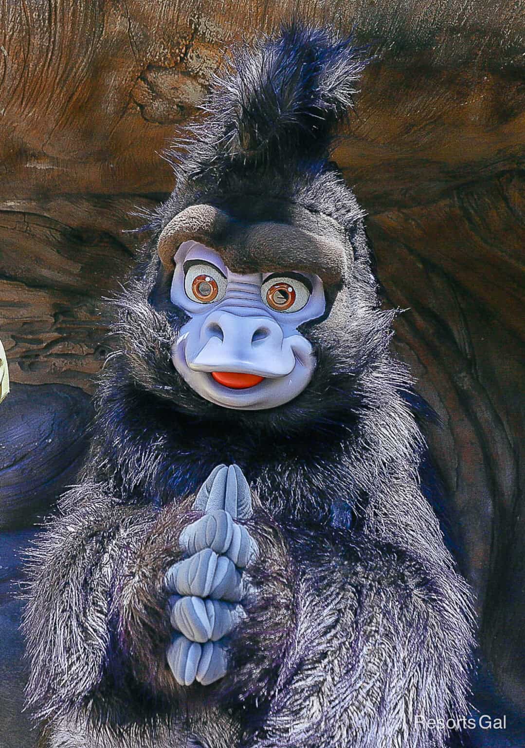 Where To Find Terk from 'Tarzan' at Disney World