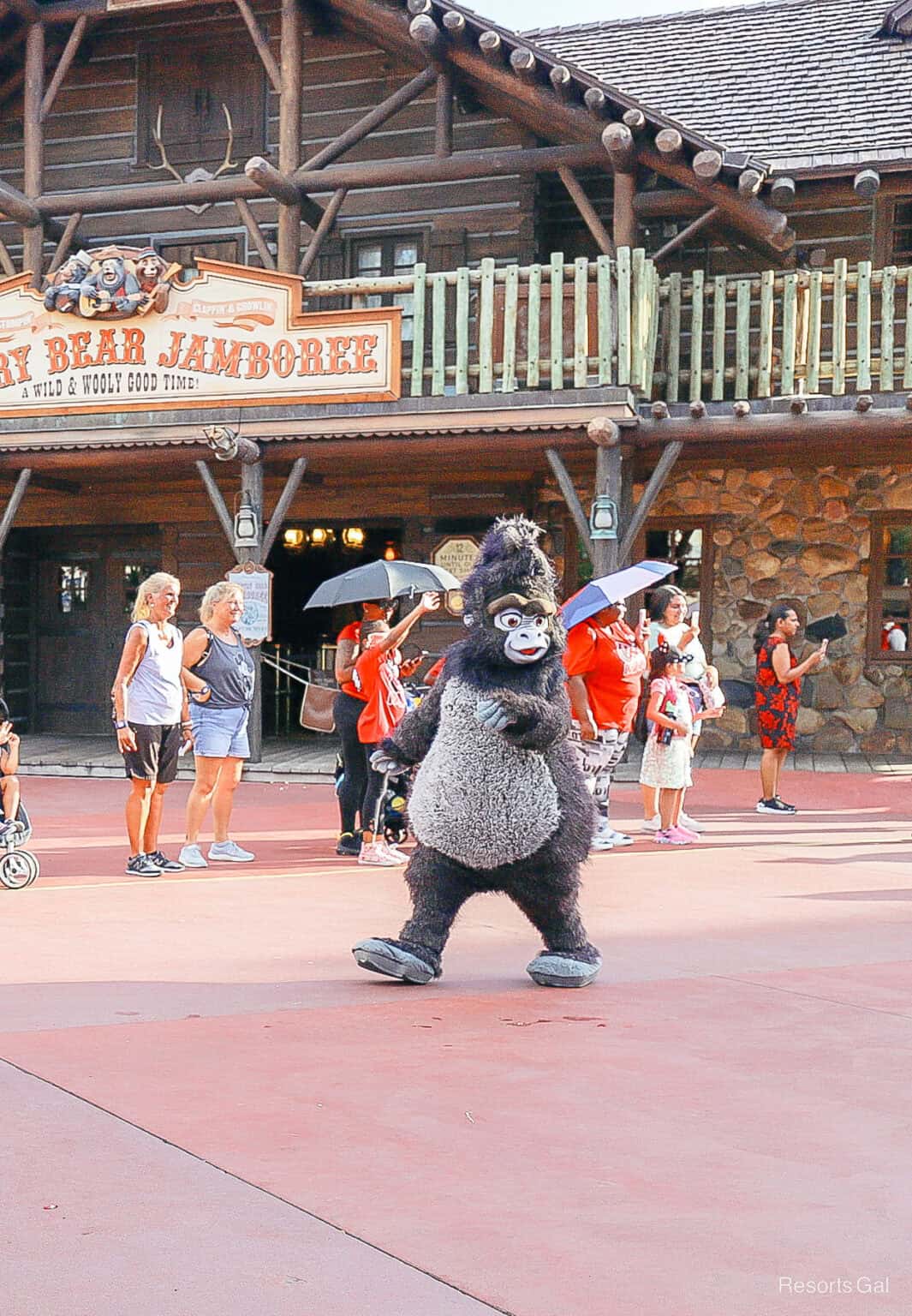 Where To Find Terk from 'Tarzan' at Disney World