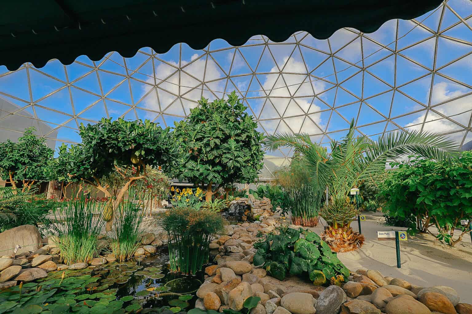 Touring the Land Pavilion at Epcot (A Complete Guide)