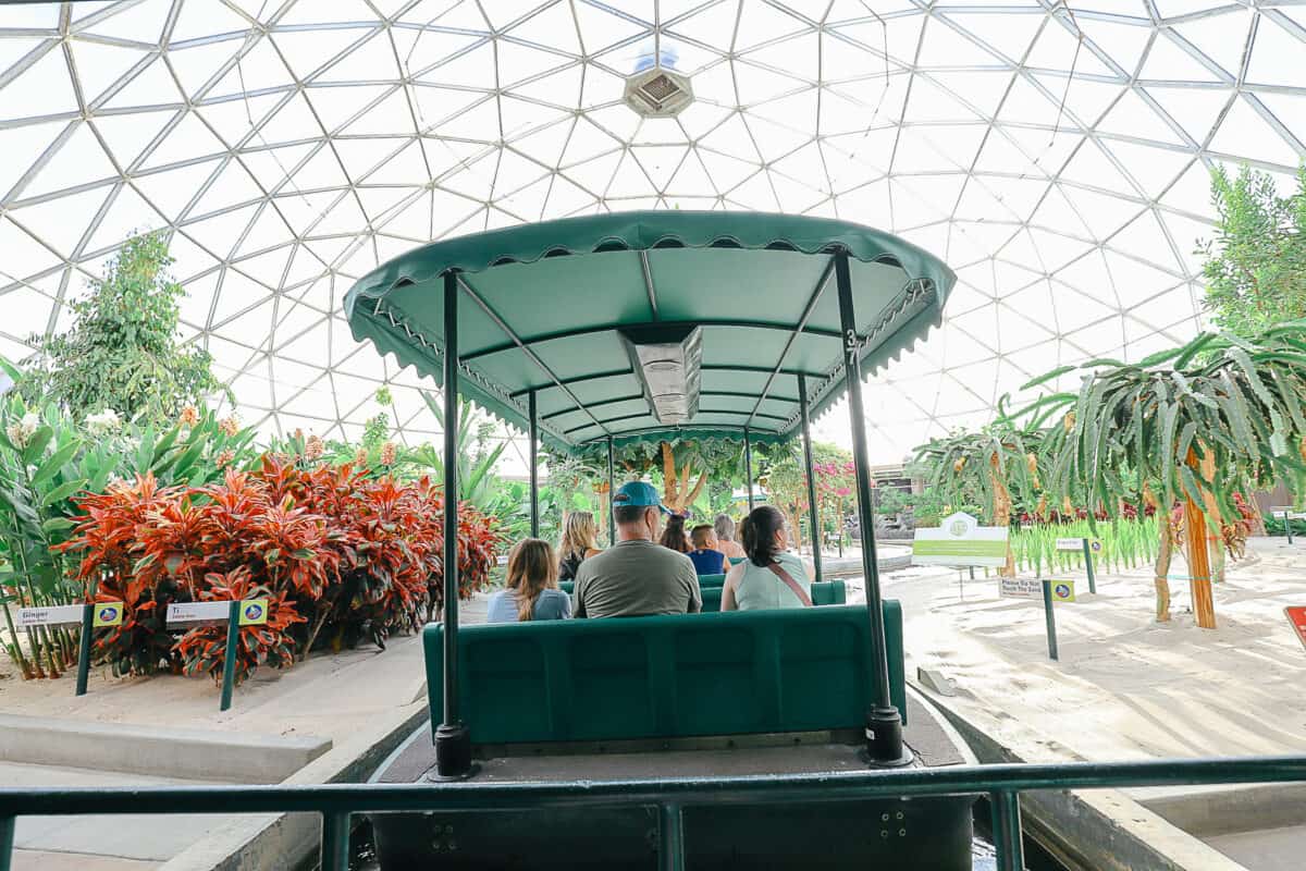 Touring the Land Pavilion at Epcot (A Complete Guide)