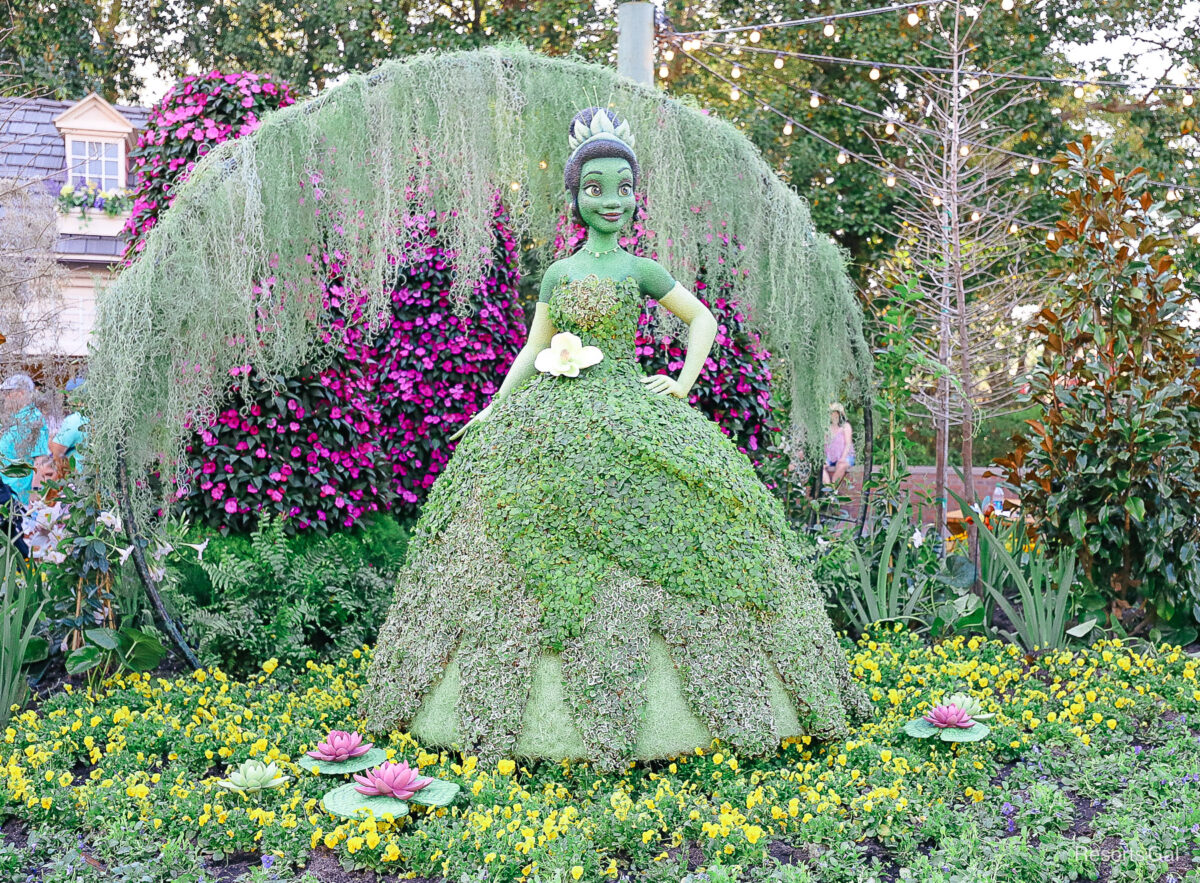 Photos: New 'The Princess and the Frog'-themed Topiary Debuts at Epcot ...