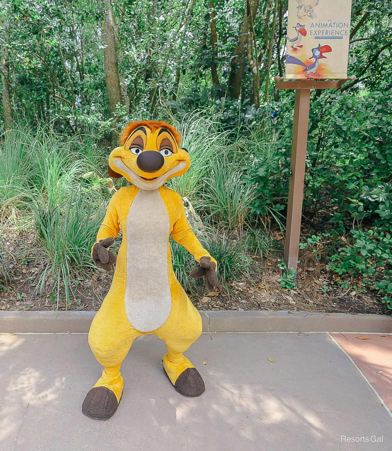 Timon and Rafiki Meet-and-Greet Brings New Life to Rafiki’s Planet ...