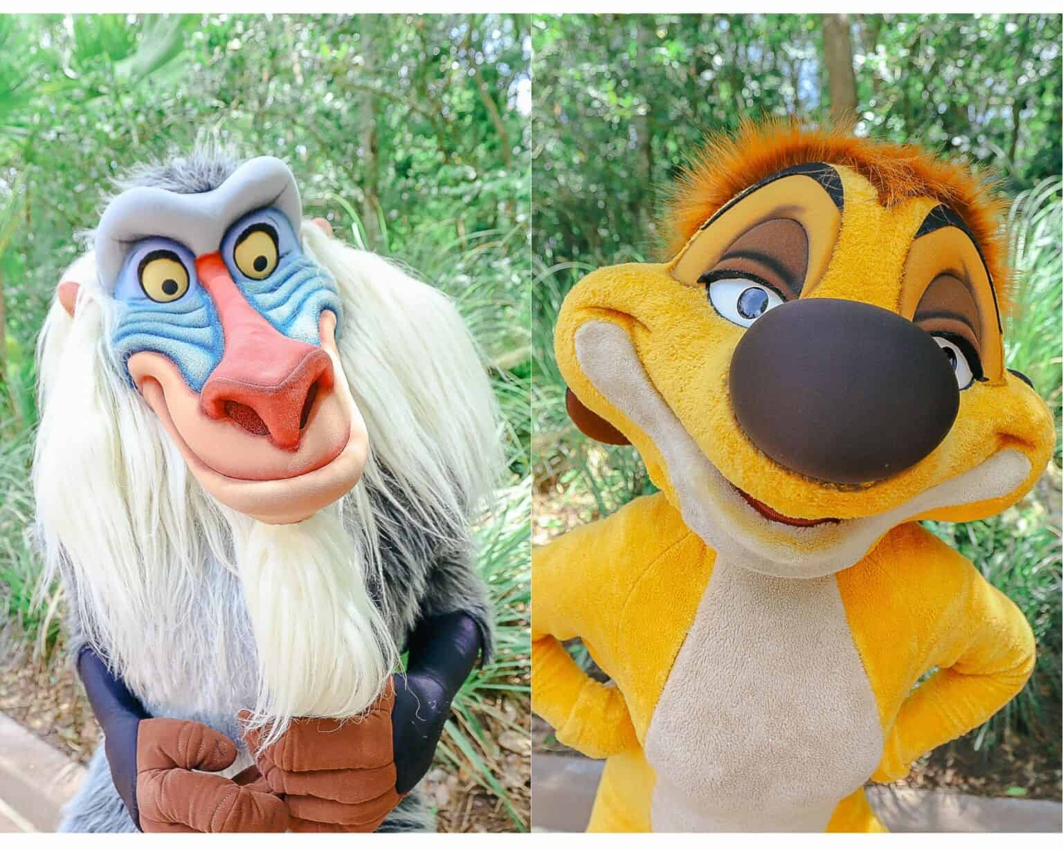 Timon and Rafiki Meet-and-Greet Brings New Life to Rafiki’s Planet ...
