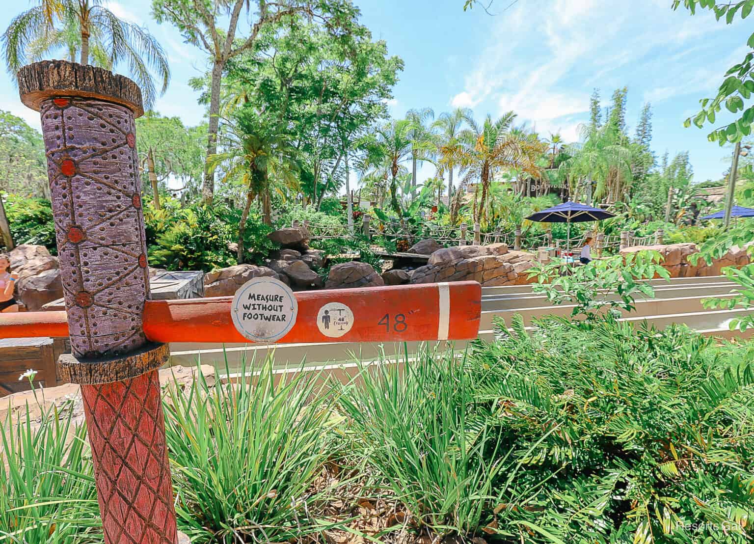 List of Attractions With Height Requirements at Disney's Typhoon Lagoon ...