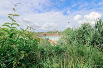 The Surf Pool at Disney's Typhoon Lagoon - Resorts Gal