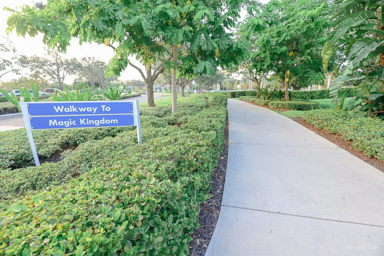 Disney World Walking Paths