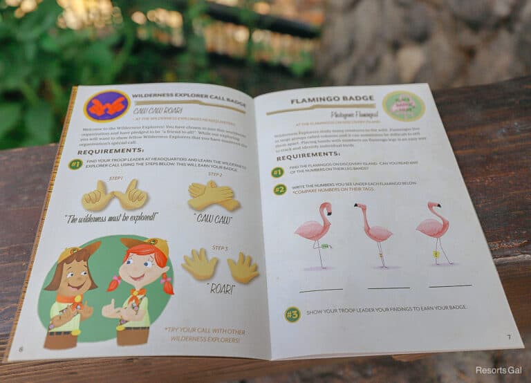 The Wilderness Explorers Program at Disney's Animal Kingdom (A Resorts Gal Guide) - Resorts Gal