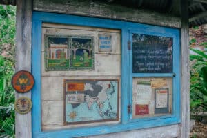 The Wilderness Explorers Program at Disney's Animal Kingdom (A Resorts ...