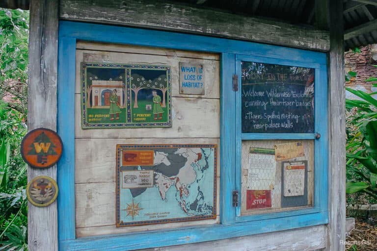 The Wilderness Explorers Program at Disney's Animal Kingdom