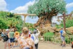 Winged Encounters at Disney's Animal Kingdom (A Not-To-Be Missed Bird ...