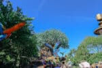 Winged Encounters at Disney's Animal Kingdom (A Not-To-Be Missed Bird ...